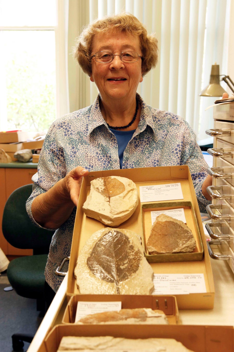 Exquisite Fossils Show an Entire Rain Forest Ecosystem | Scientific ...